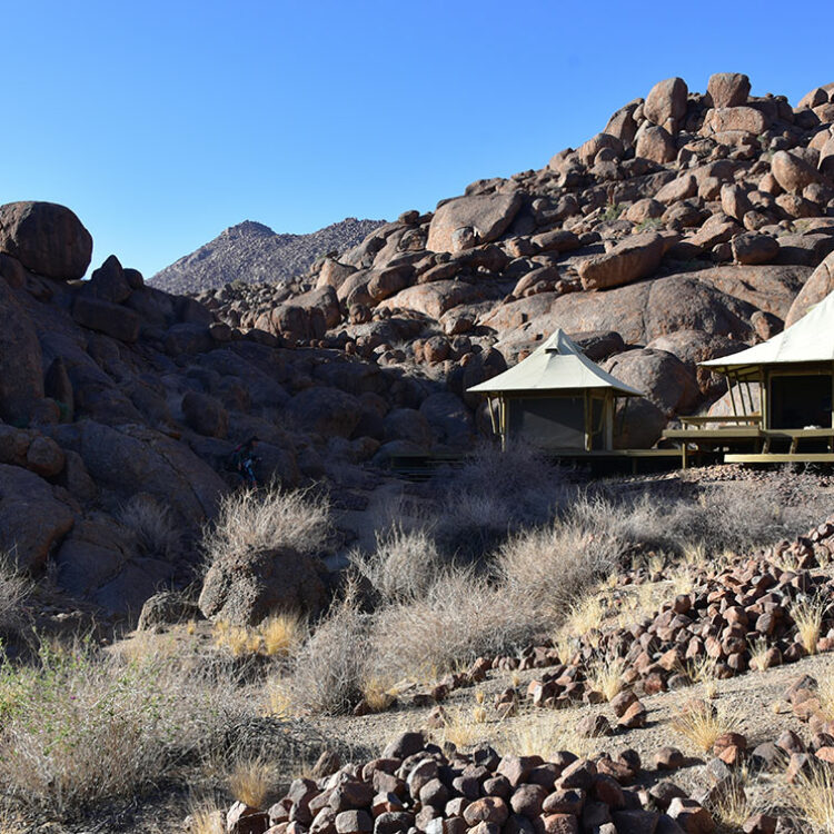 Arid Eden: das Paradies in der Wüste | Purpose Magazin