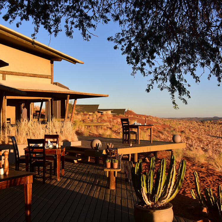 Arid Eden: das Paradies in der Wüste | Purpose Magazin