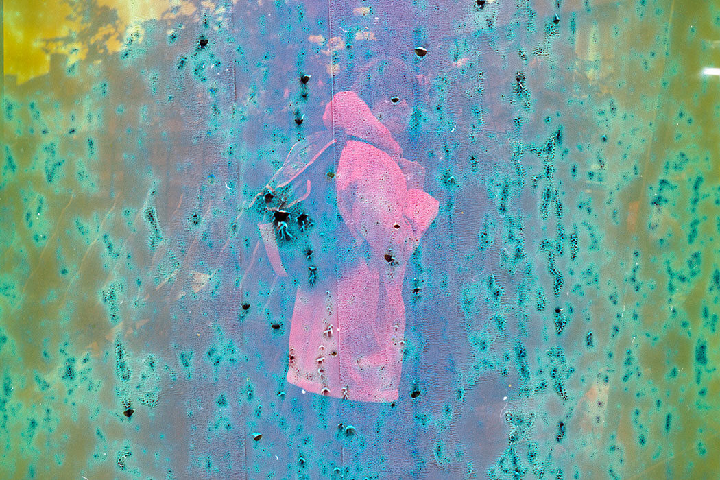 Die Weisheit unserer Träume verstehen| PURPOSE Magazin